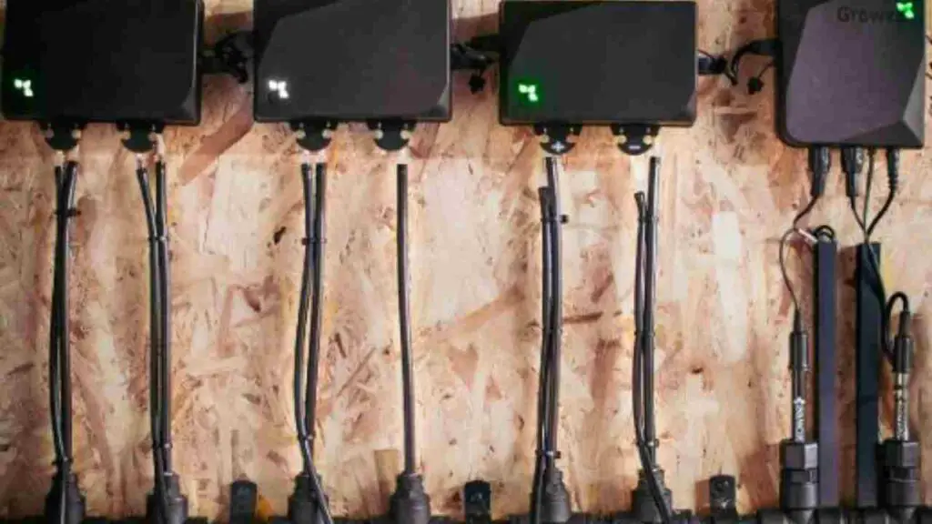 Commercial Hydroponic Farming: Maximizing Yield and Sustainability