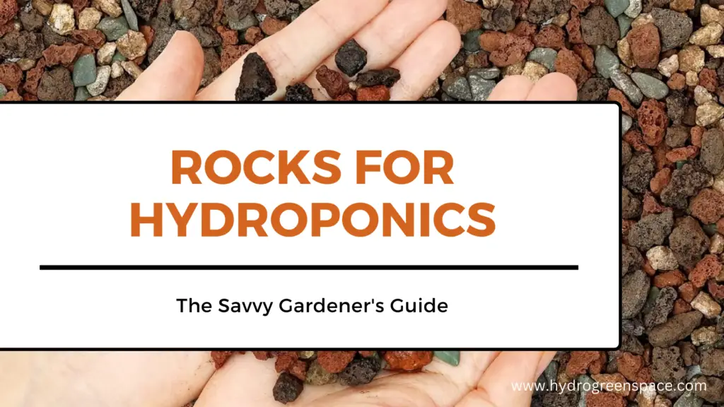 The Savvy Gardener's Guide to Rocks for Hydroponics Systems