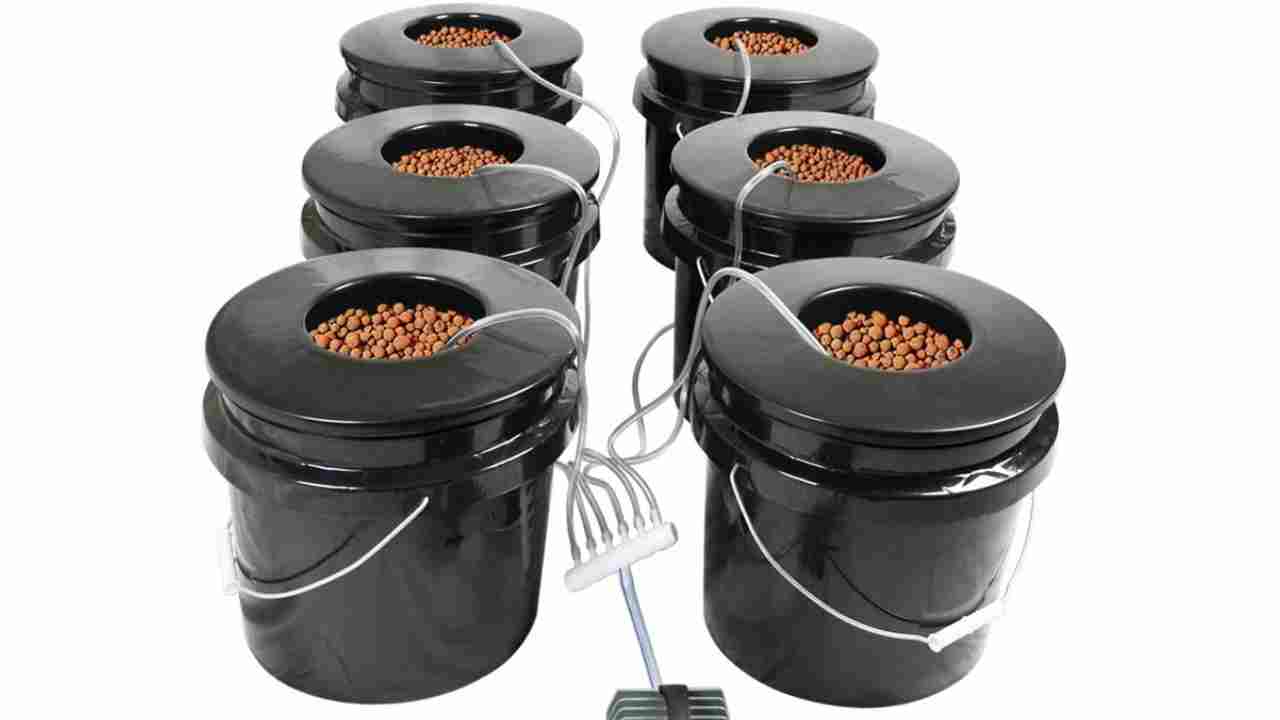 6 Bucket Hydroponic System: A Comprehensive Guide - Hydro Green Space