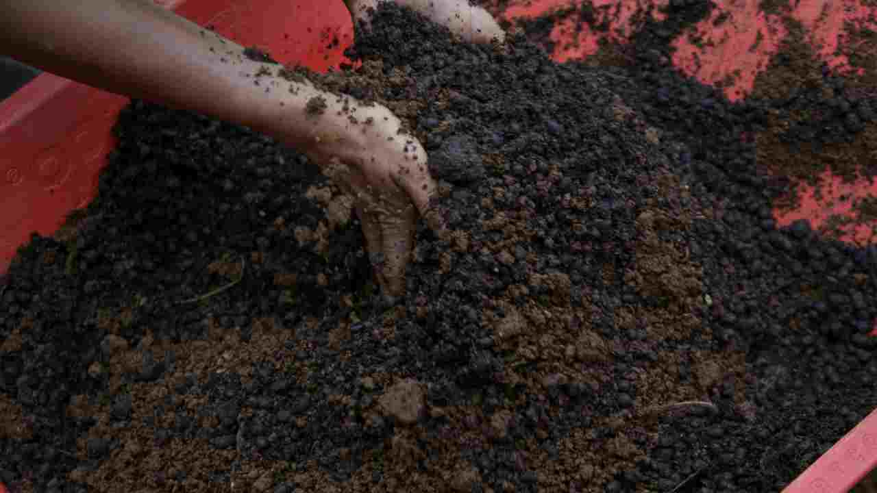 DIY Hydroponic Nutrients from Compost: Detailed Guide